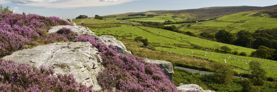 Forest of Bowland AONB | Area of Outstanding Natural Beauty